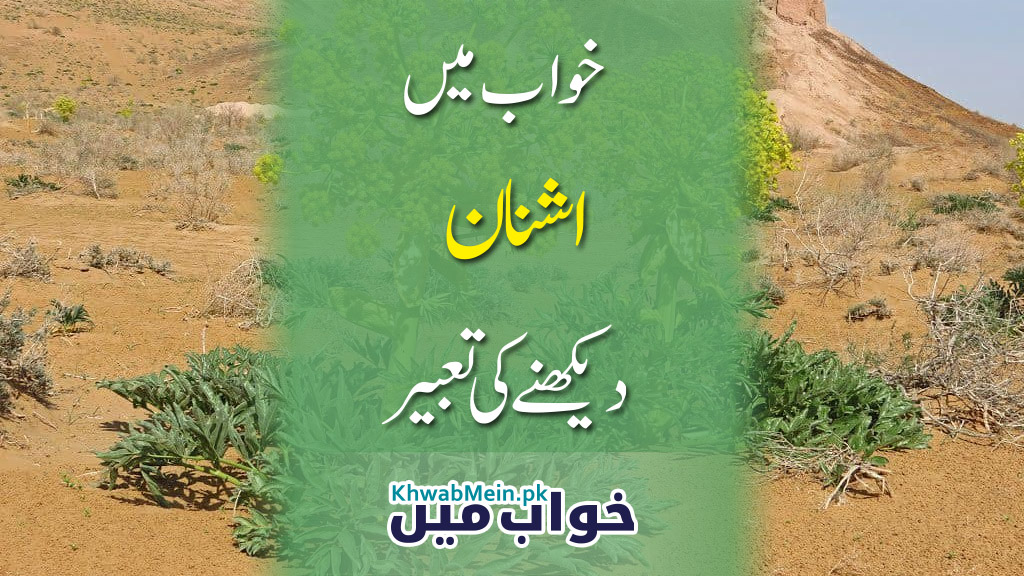 Khwab Mein Aashnan Dekhnay Ki Tabeer Khwabmein Pk