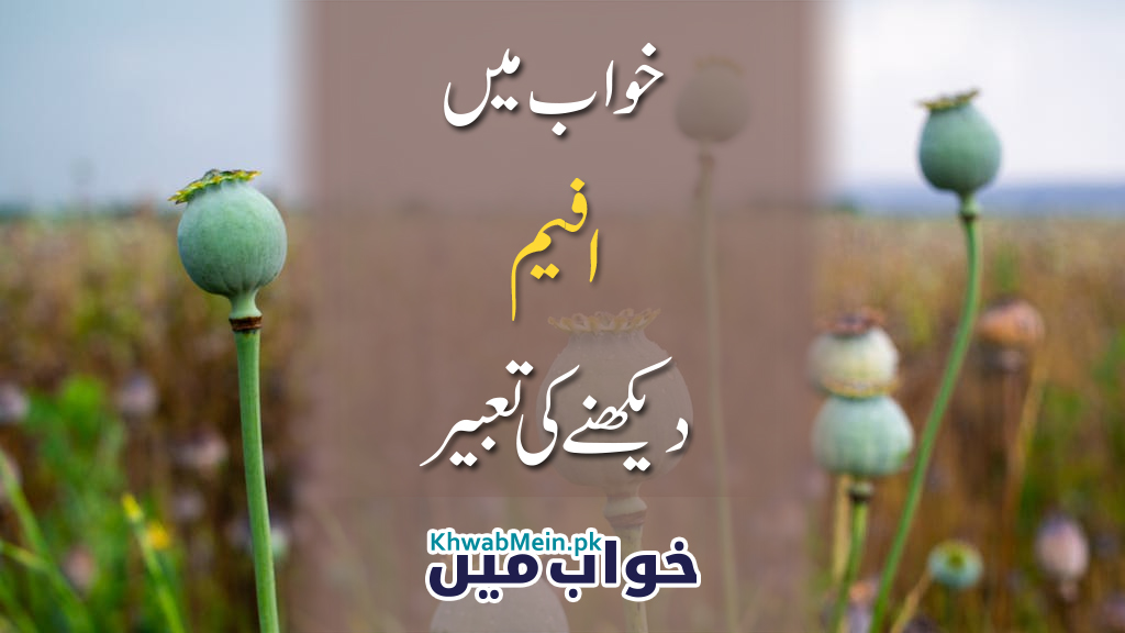 Khwab mein Afeem dekhnay ki tabeer - KhwabMein.pk
