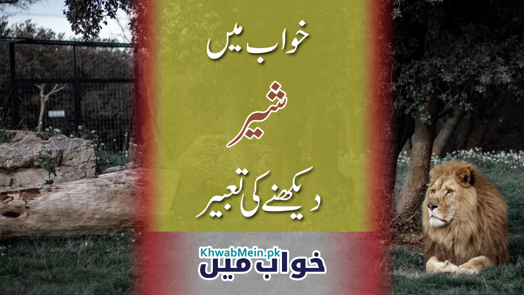 Khwab mein Sher dekhnay ki tabeer - KhwabMein.pk