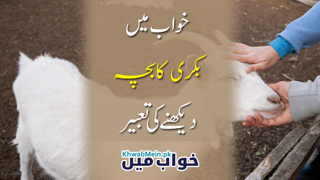 Khwab mein Bakri ka Bacha dekhnay ki tabeer - KhwabMein.pk