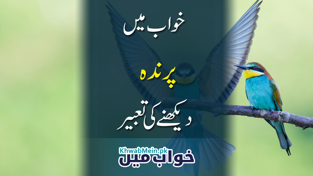 Khwab Mein Parinda Dekhnay Ki Tabeer Khwabmein Pk