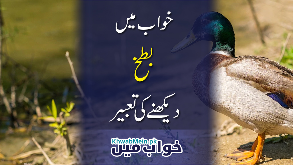 Khwab mein Batakh dekhnay ki tabeer - KhwabMein.pk